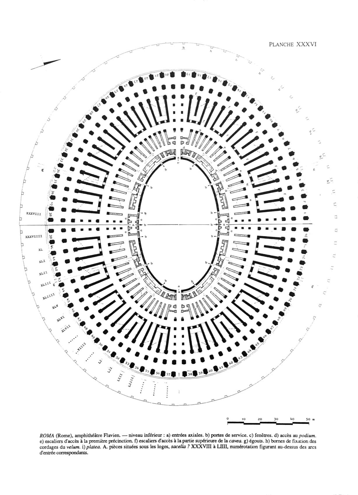 Roma (Rome), ground plan of the Flavian amphitheatre - Jean-Claude Golvin